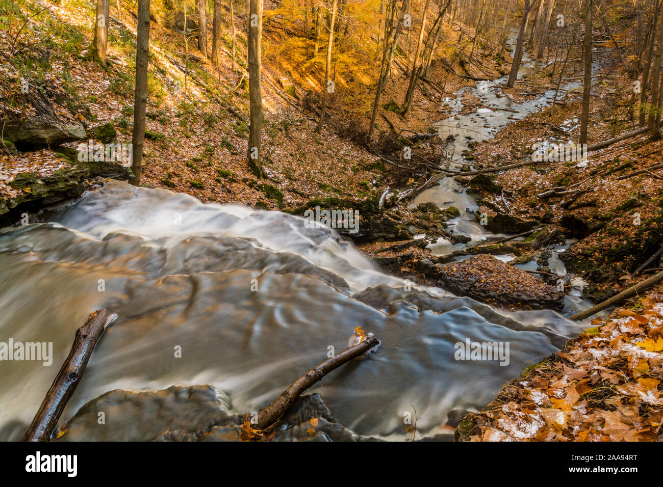 Rockway Falls Conservation Area and Louth Falls Conservation Area ...