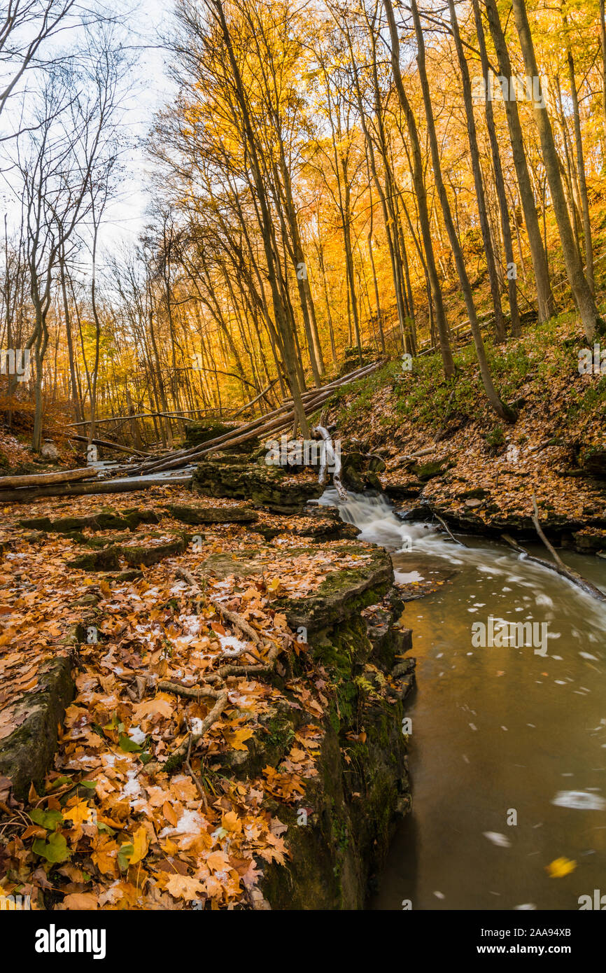 Rockway Falls Conservation Area and Louth Falls Conservation Area ...