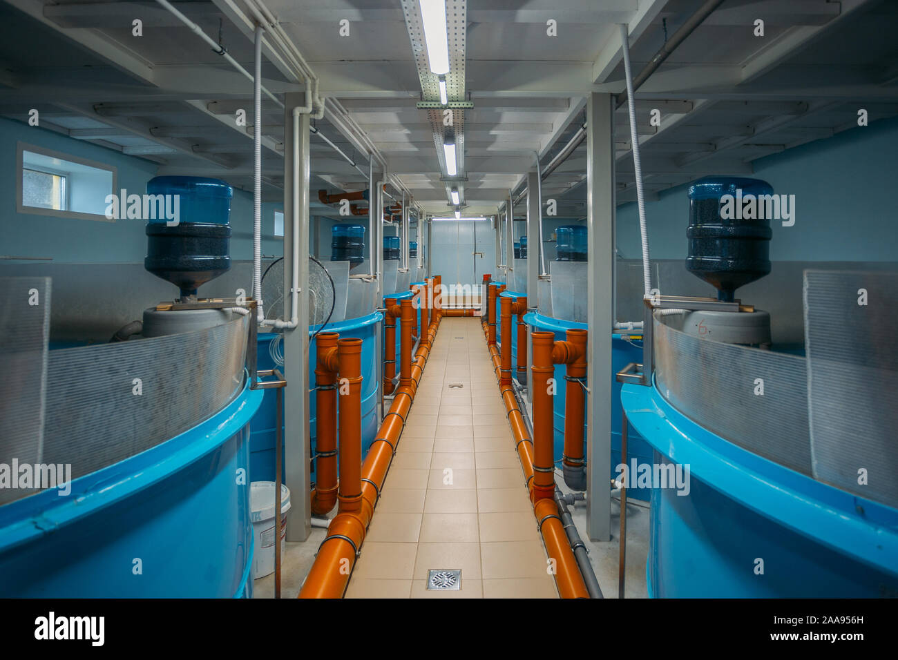 Round fish hatchery tanks hi-res stock photography and images - Alamy