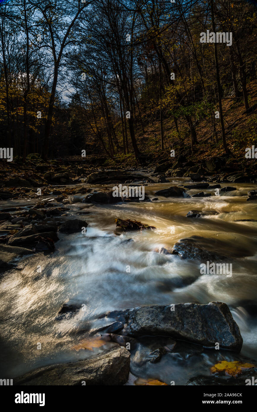 Rockway Falls Conservation Area and Louth Falls Conservation Area ...