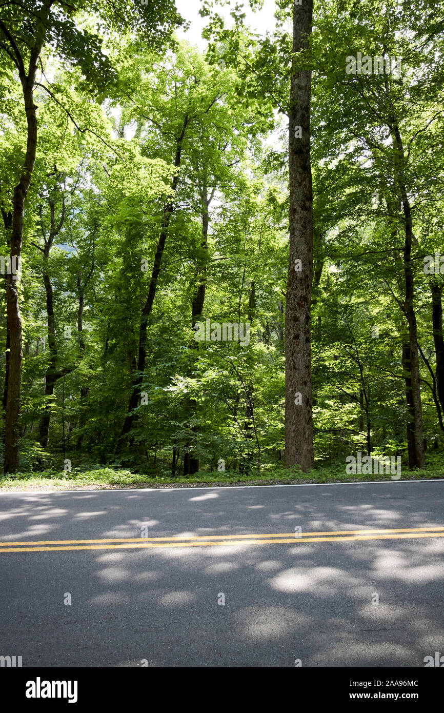 parkway us 441 highway route through great smoky mountains national ...