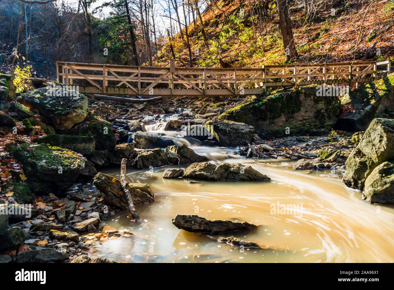 Rockway Falls Conservation Area and Louth Falls Conservation Area ...