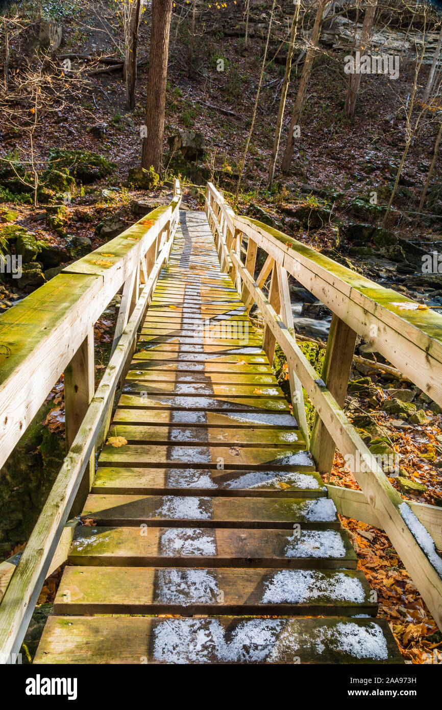 Rockway Falls Conservation Area and Louth Falls Conservation Area ...