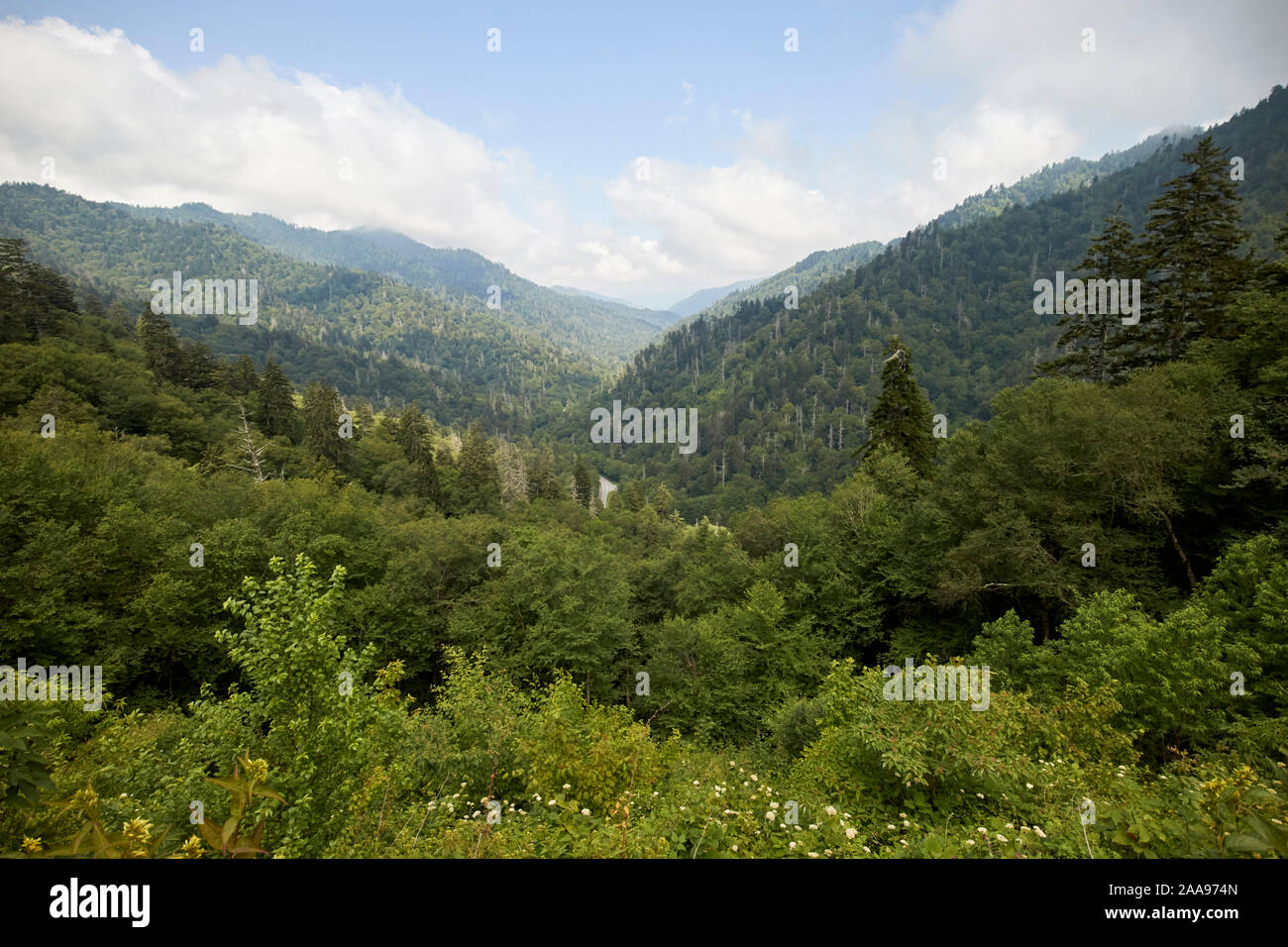 morton overlook at the newfound gap in great smoky mountains national ...