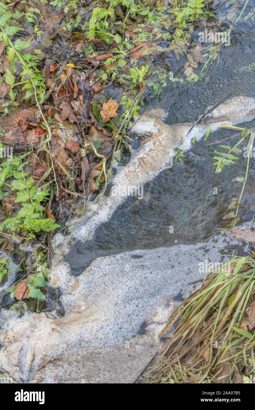 Foam line / foam collecting on freshwater drainage stream. Metaphor ...
