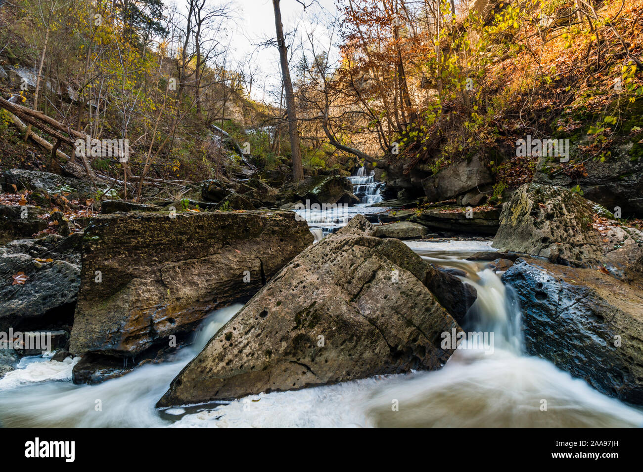 Rockway Falls Conservation Area and Louth Falls Conservation Area ...