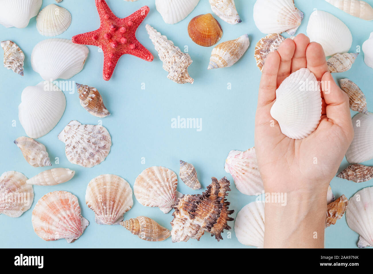 Women's hand hold seashell on blue background with different shells and ...