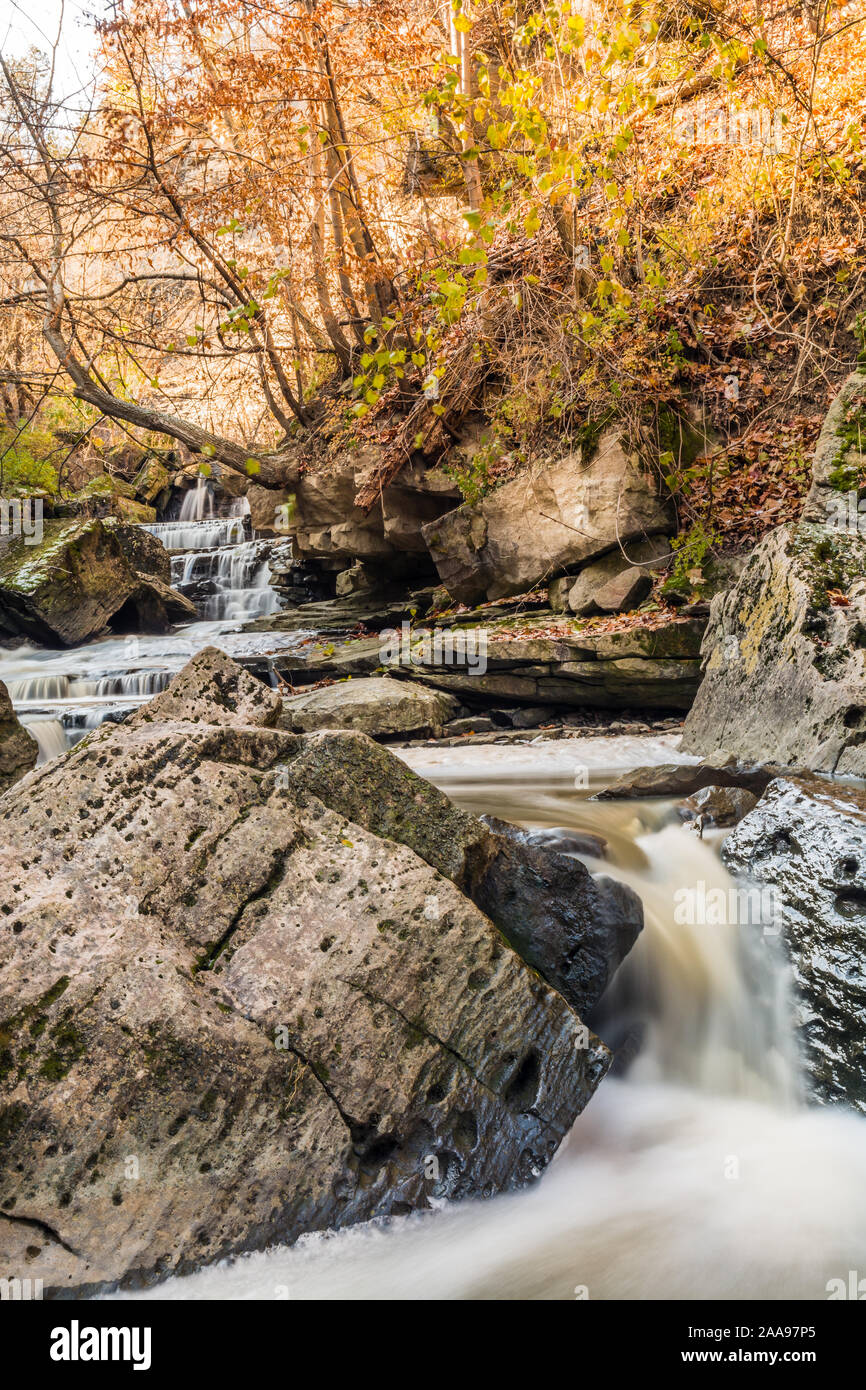 Rockway Falls Conservation Area and Louth Falls Conservation Area ...