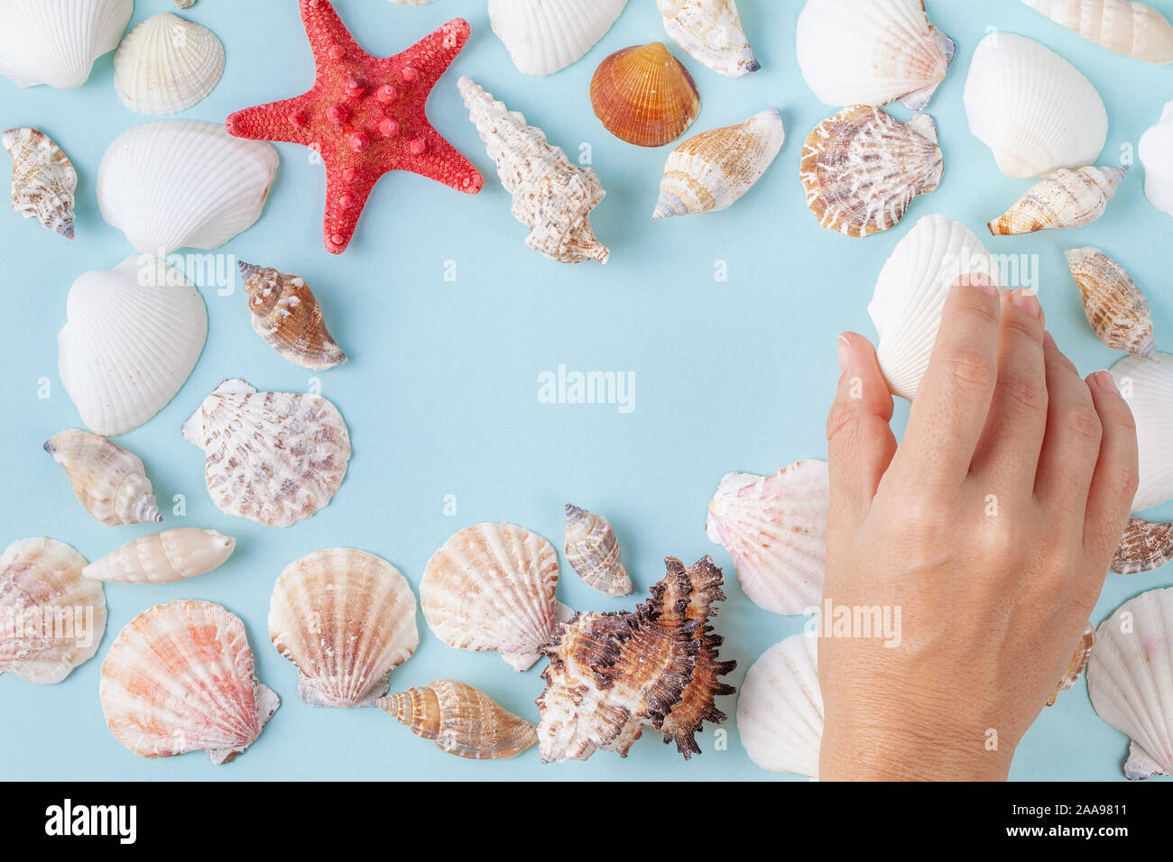 Women's hand hold seashell on blue background with different shells and ...