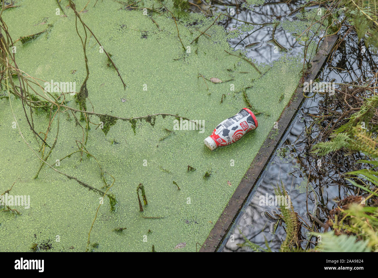 Stagnant drainage water hi-res stock photography and images - Alamy