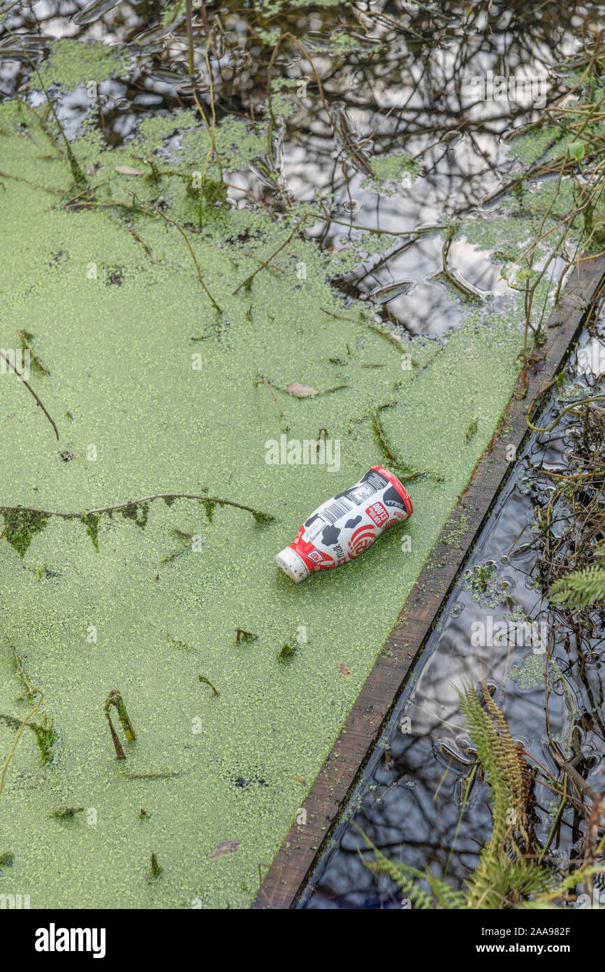 Stagnant water concept hi-res stock photography and images - Alamy