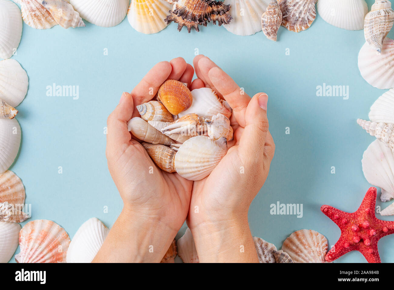 Women's hands hold a seashells on a blue background with different ...
