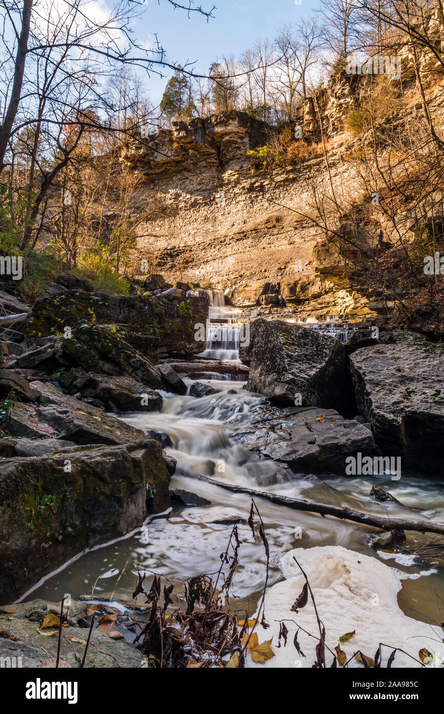 Rockway Falls Conservation Area and Louth Falls Conservation Area ...