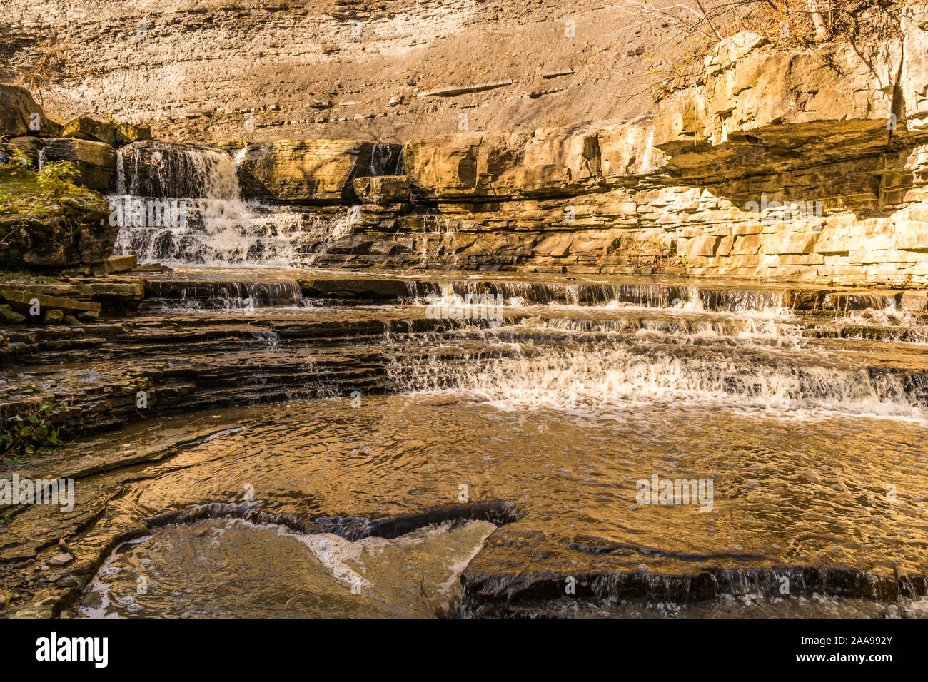 Rockway Falls Conservation Area and Louth Falls Conservation Area ...