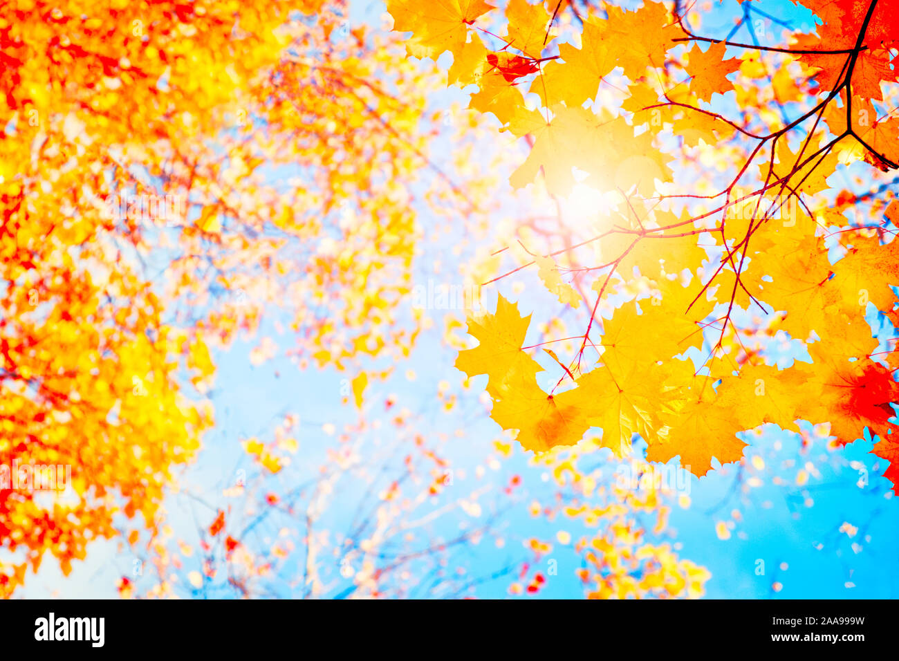 Natural fade hi-res stock photography and images - Alamy