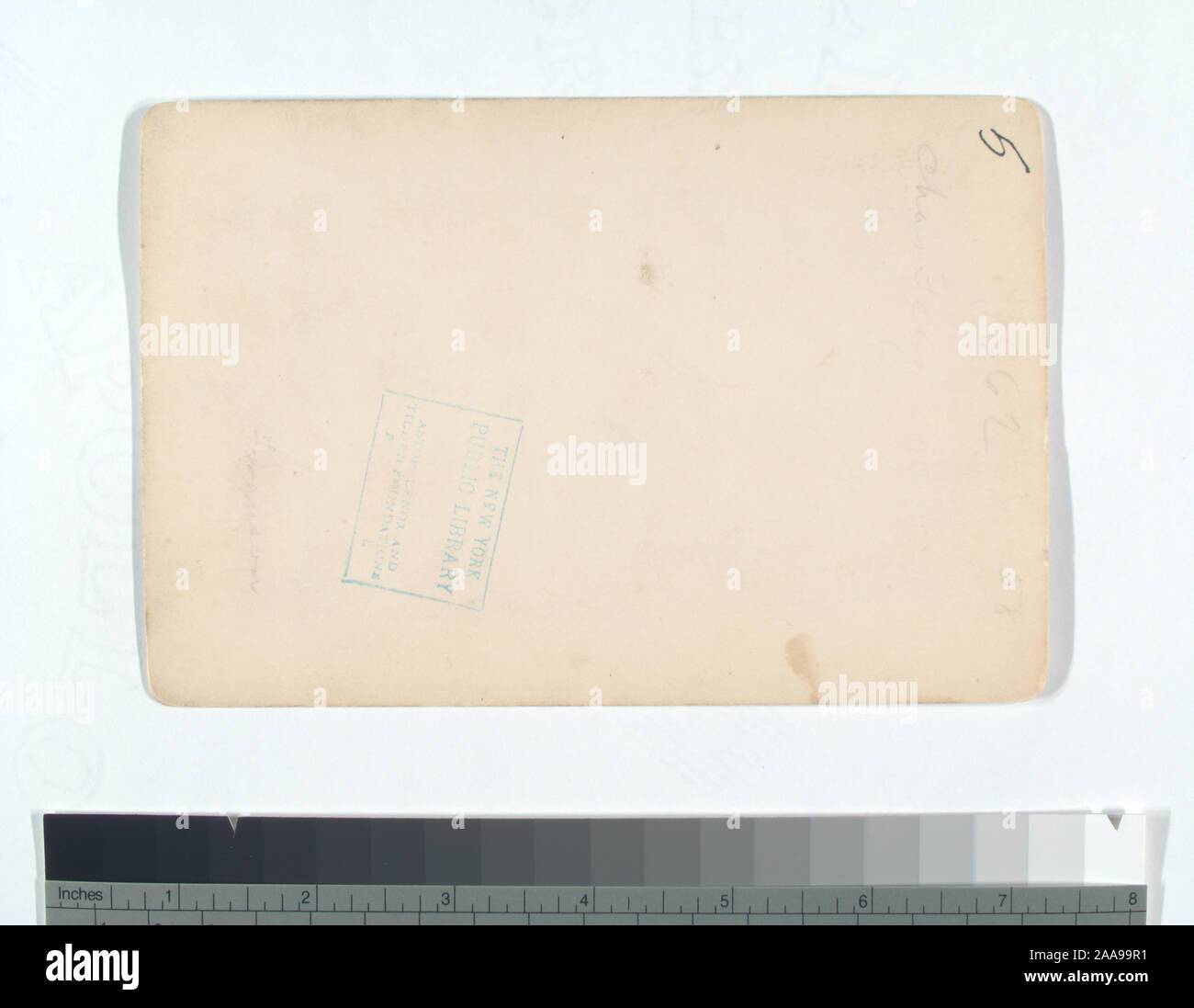 Charlie Ferguson; Charlie Ferguson Stock Photo - Alamy