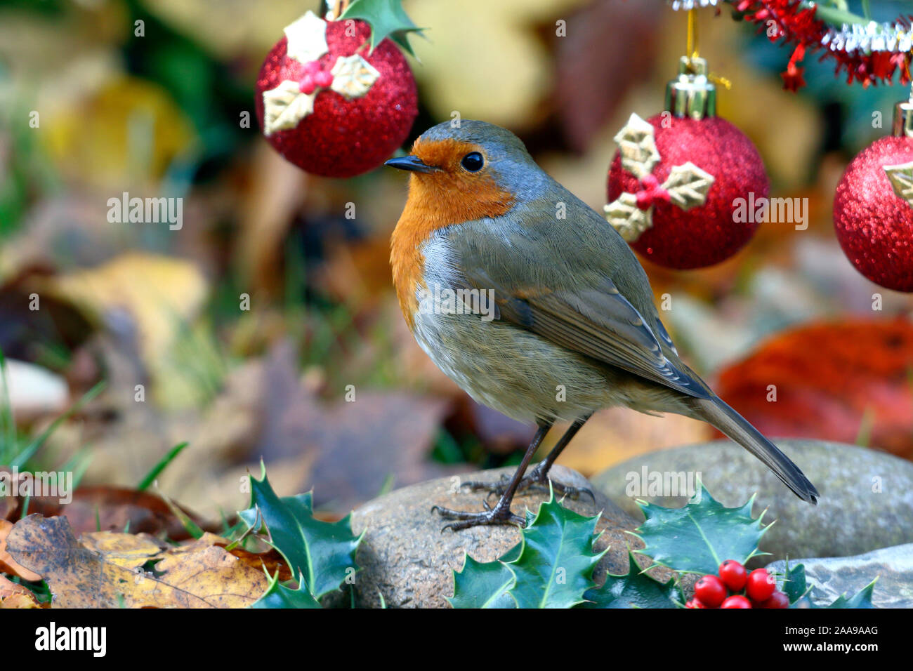Sparkley hi-res stock photography and images - Alamy