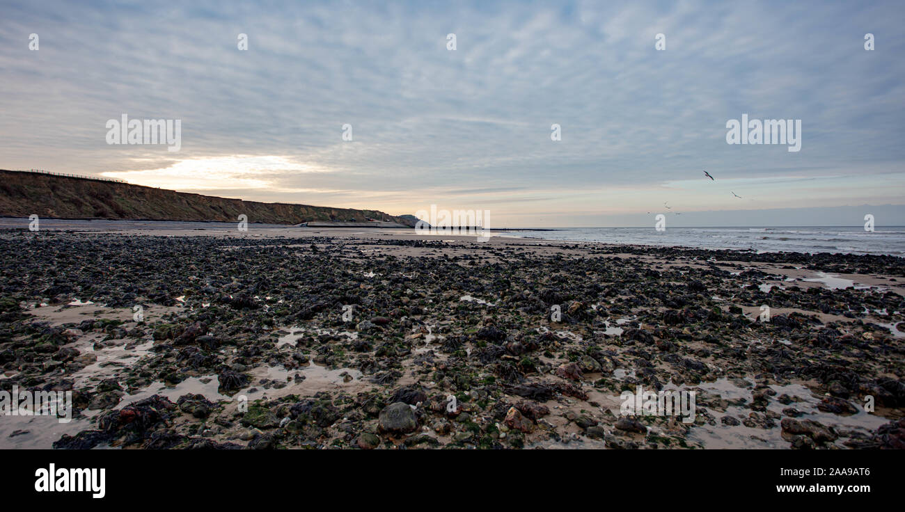 The North Norfolk Beaches in Winter Stock Photo - Alamy