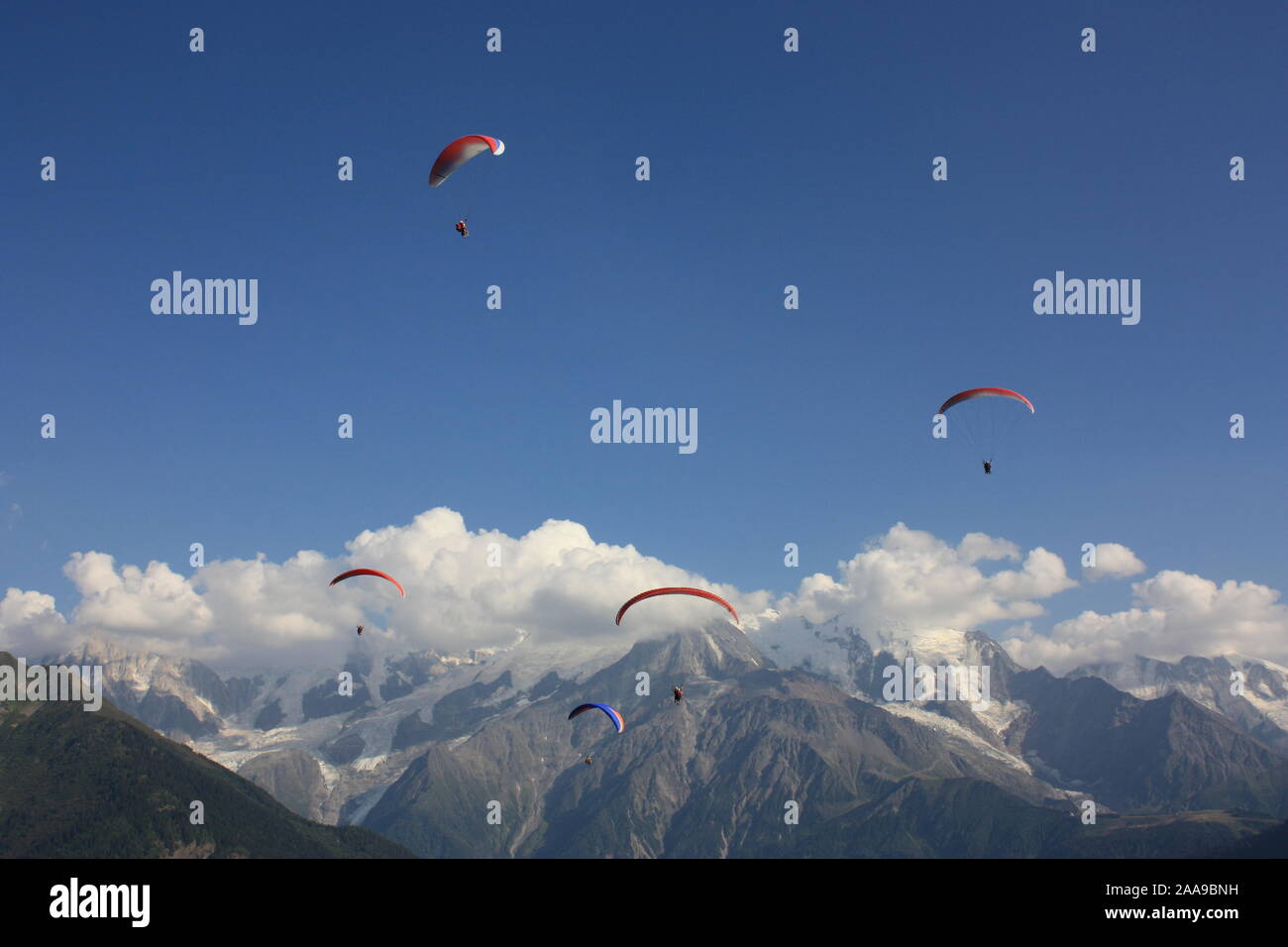 Extreme bird sport hi-res stock photography and images - Alamy