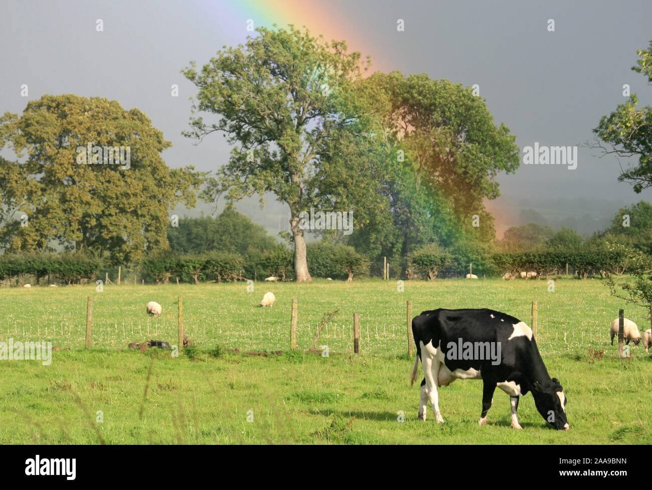 End of the rainbow hi-res stock photography and images - Alamy