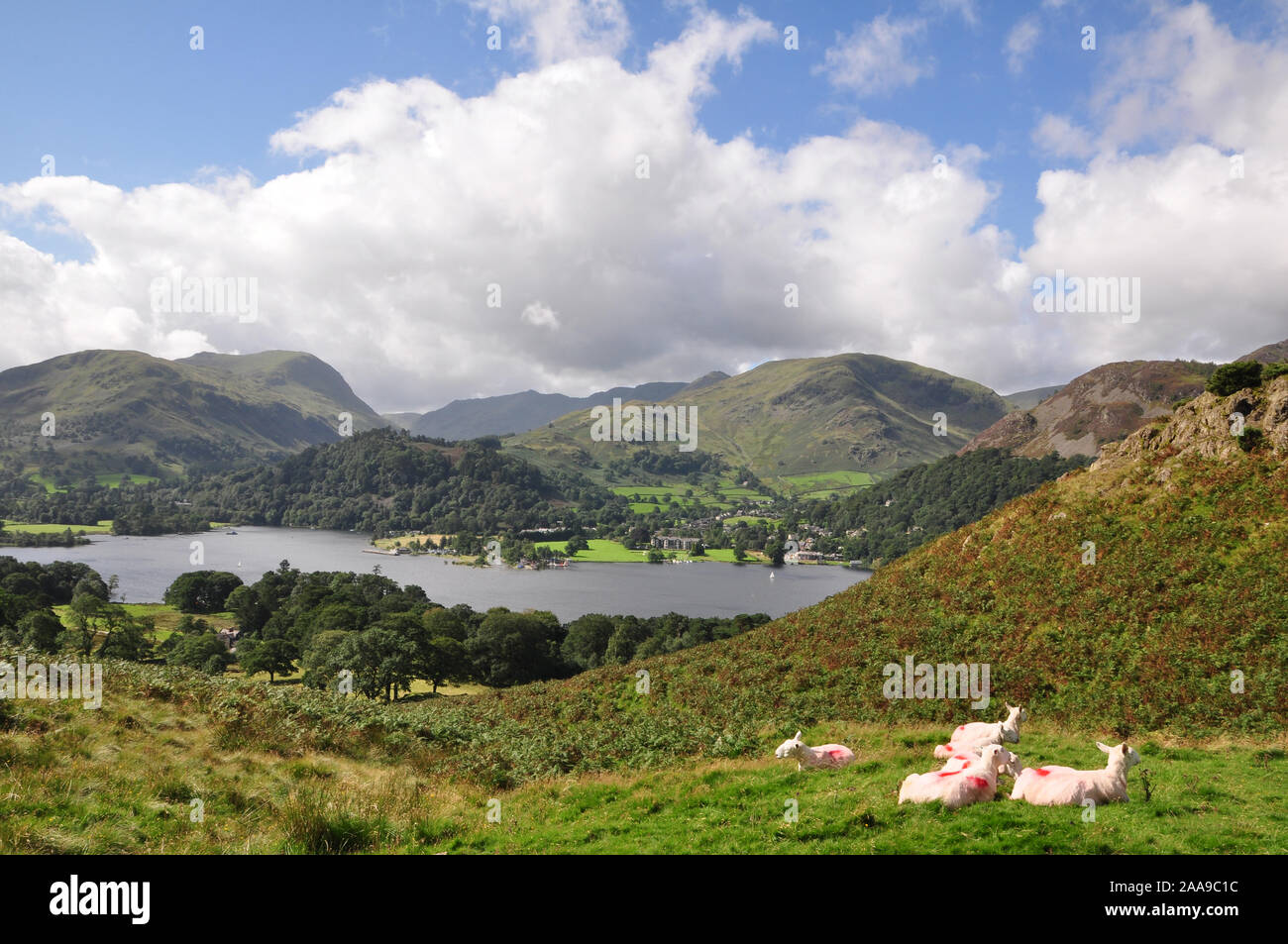 Glenridding dodd ferry on ullswater hi-res stock photography and images ...