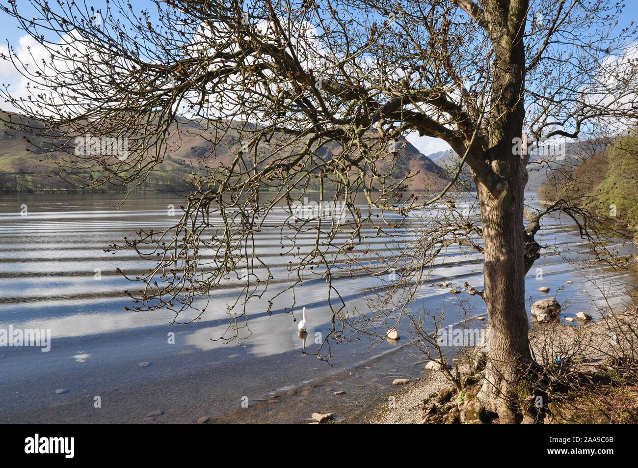 South eastern shore hi-res stock photography and images - Alamy