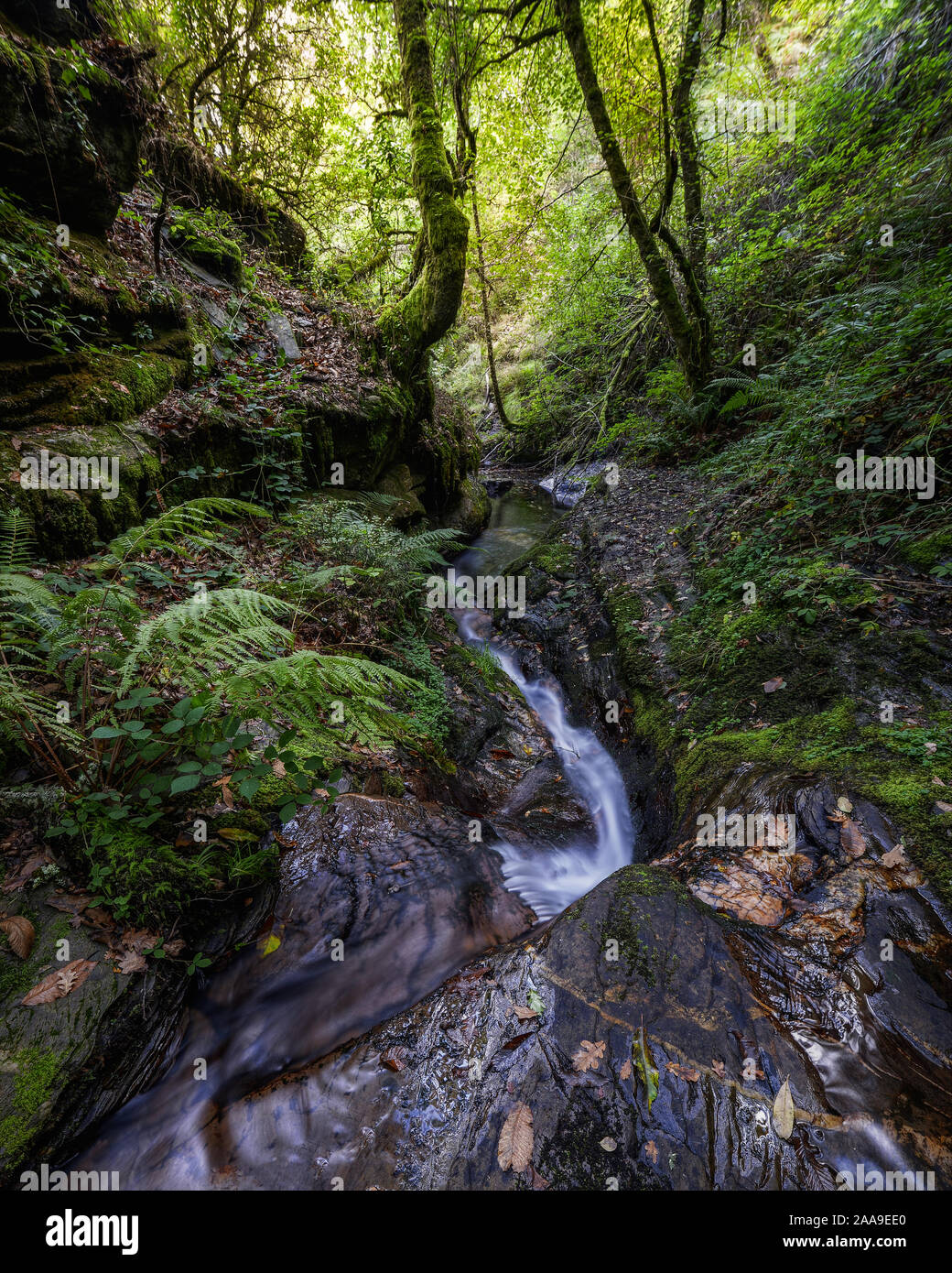 Deep areas hi-res stock photography and images - Alamy
