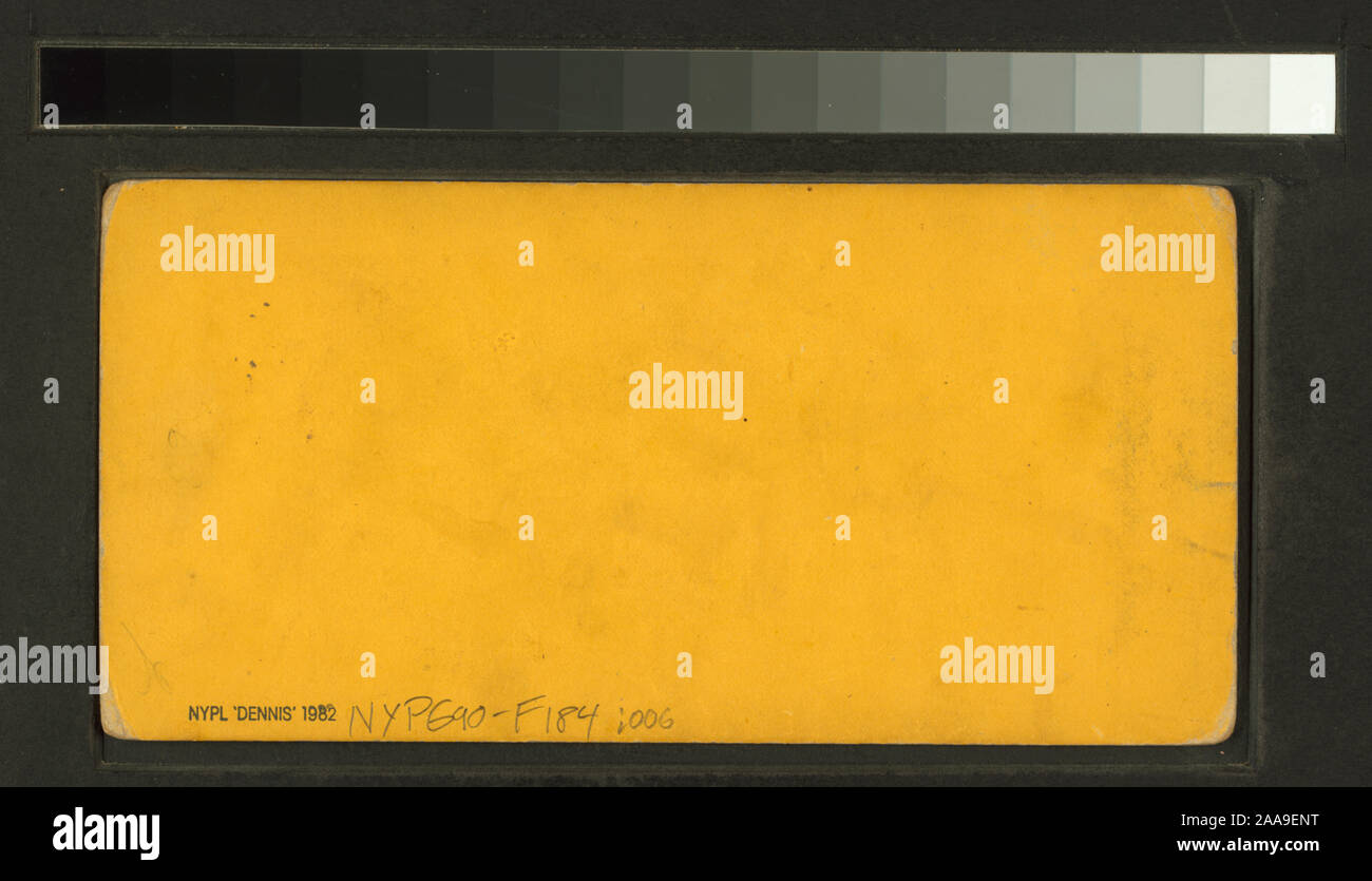 Chicago fire views: Field, Leiter & Co.'s store.; Chicago fire views ...