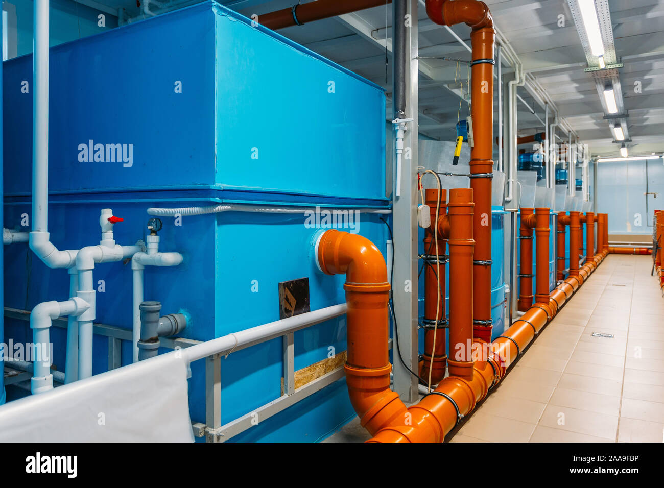 Water purification system in modern fish farm with closed water supply ...