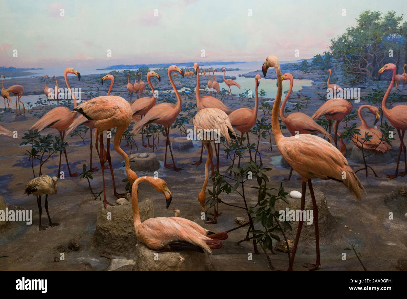 Springfield Museum of Science MA Stock Photo - Alamy