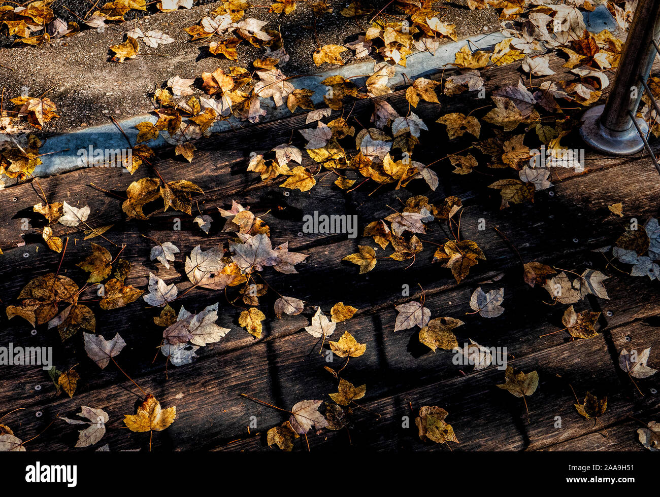 On the ground Stock Photo - Alamy