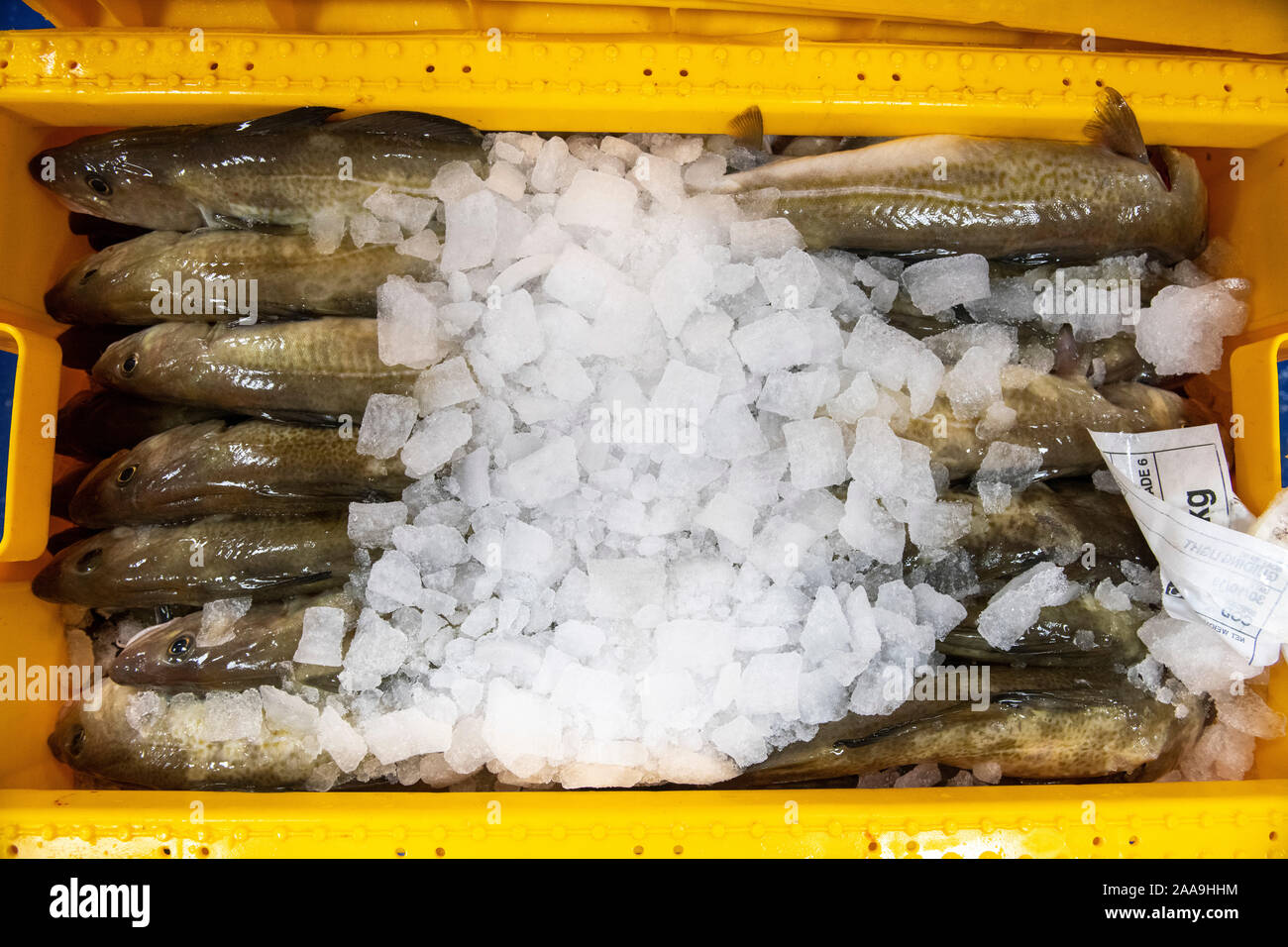 Scottish fishing fleet hi-res stock photography and images - Alamy