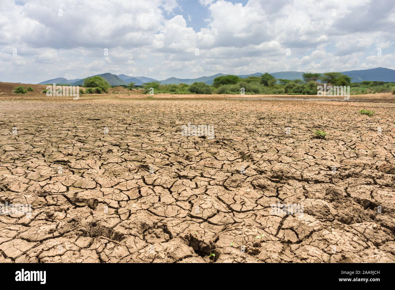 A dried up lake bed due to lack of rain with trees and hills in ...