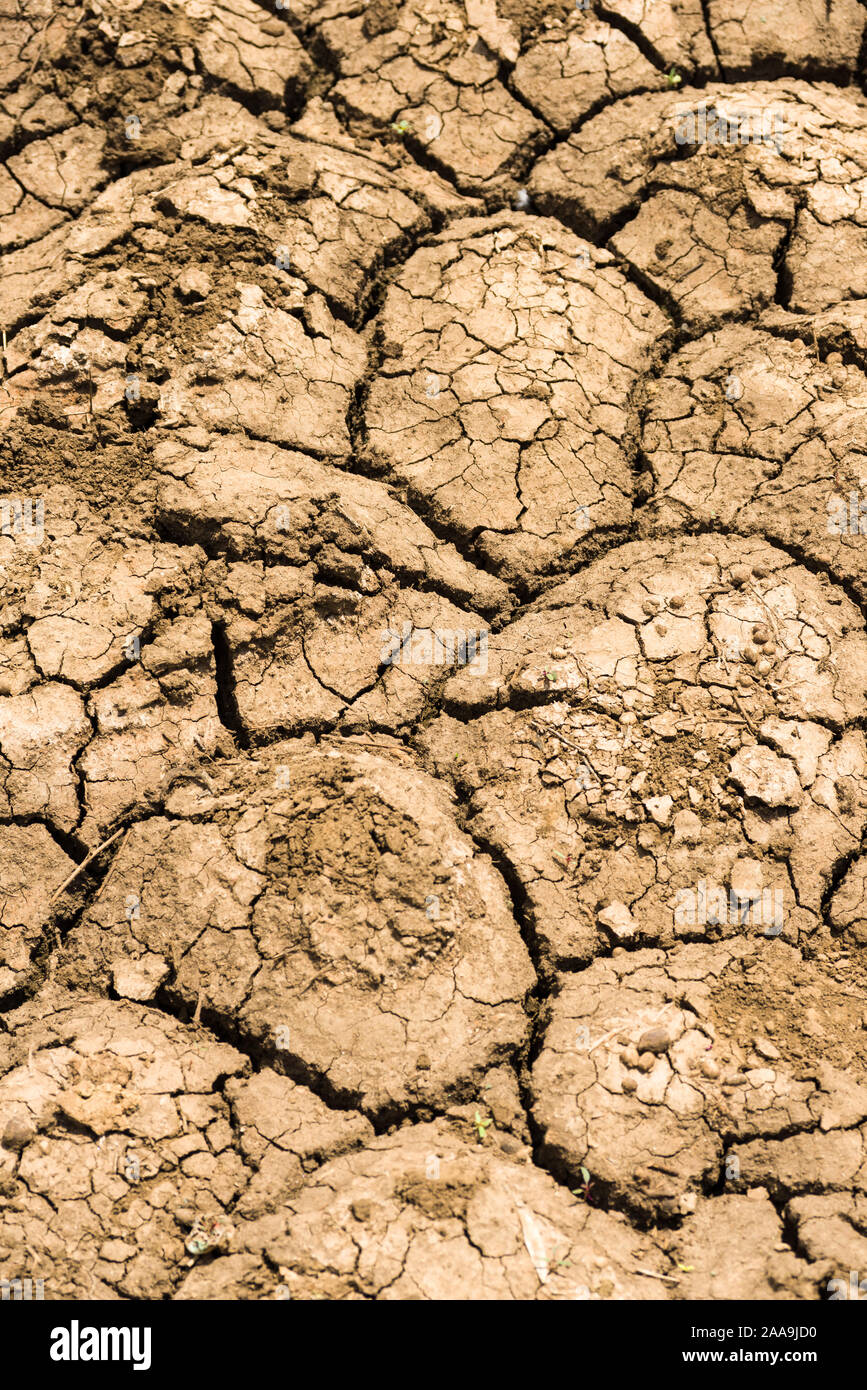 Dried up lake bed due to lack of rain showing dry cracked earth, Kenya ...