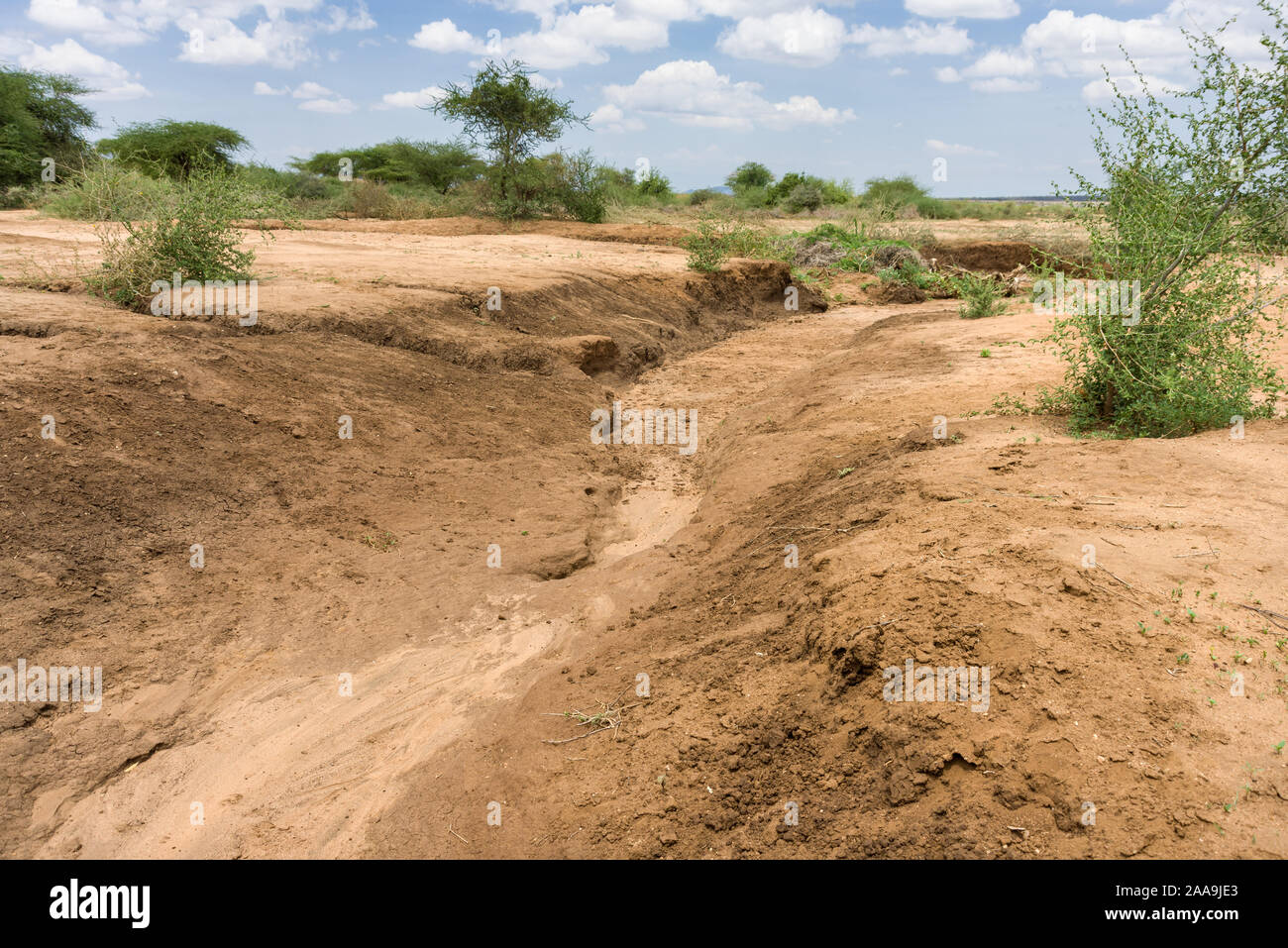 A dry dusty river bed due to lack of rain, Kajiado County, Kenya, East ...