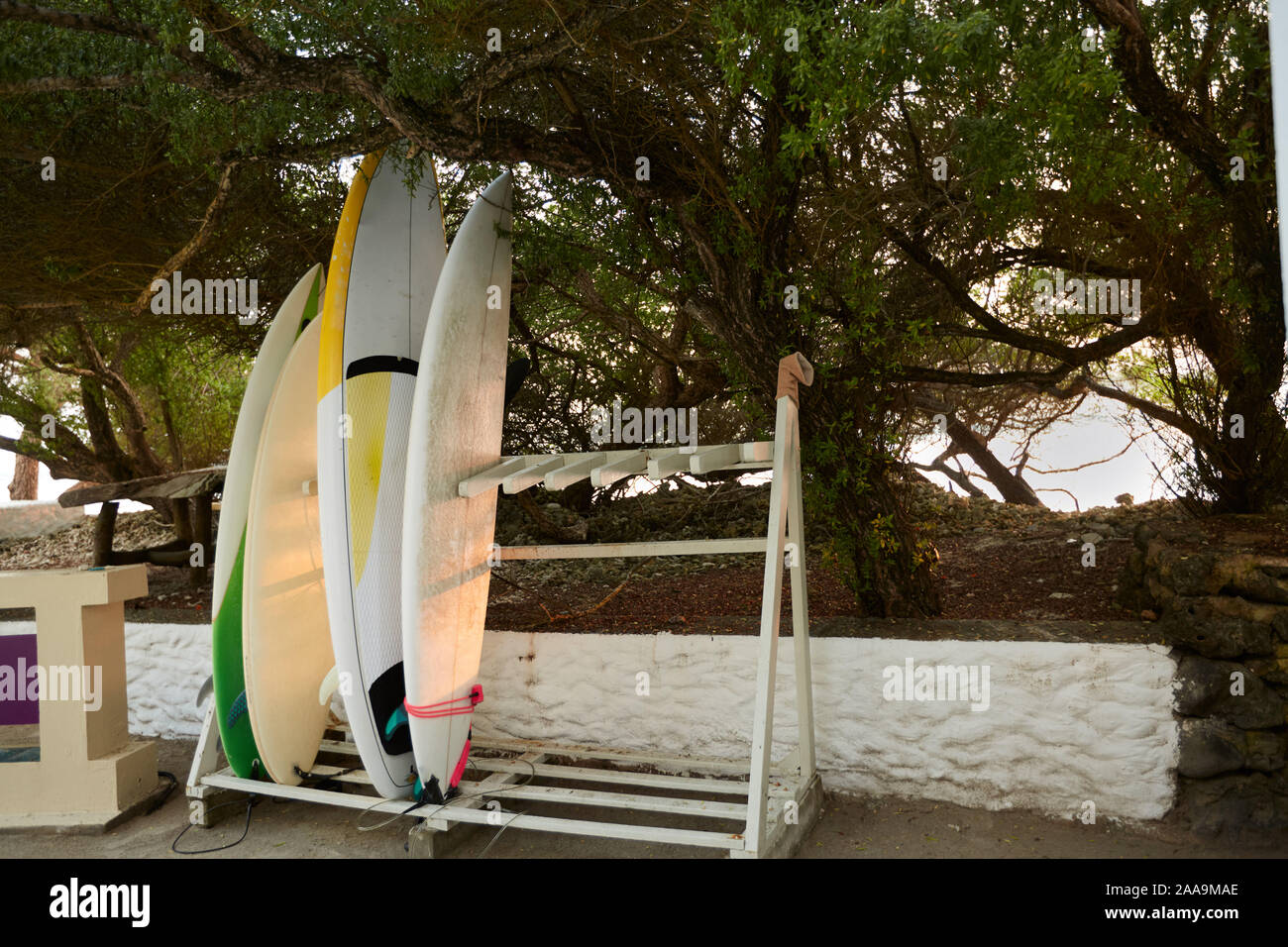 Surfboards on stand at a surf spot in Maldives. Surfers left their ...