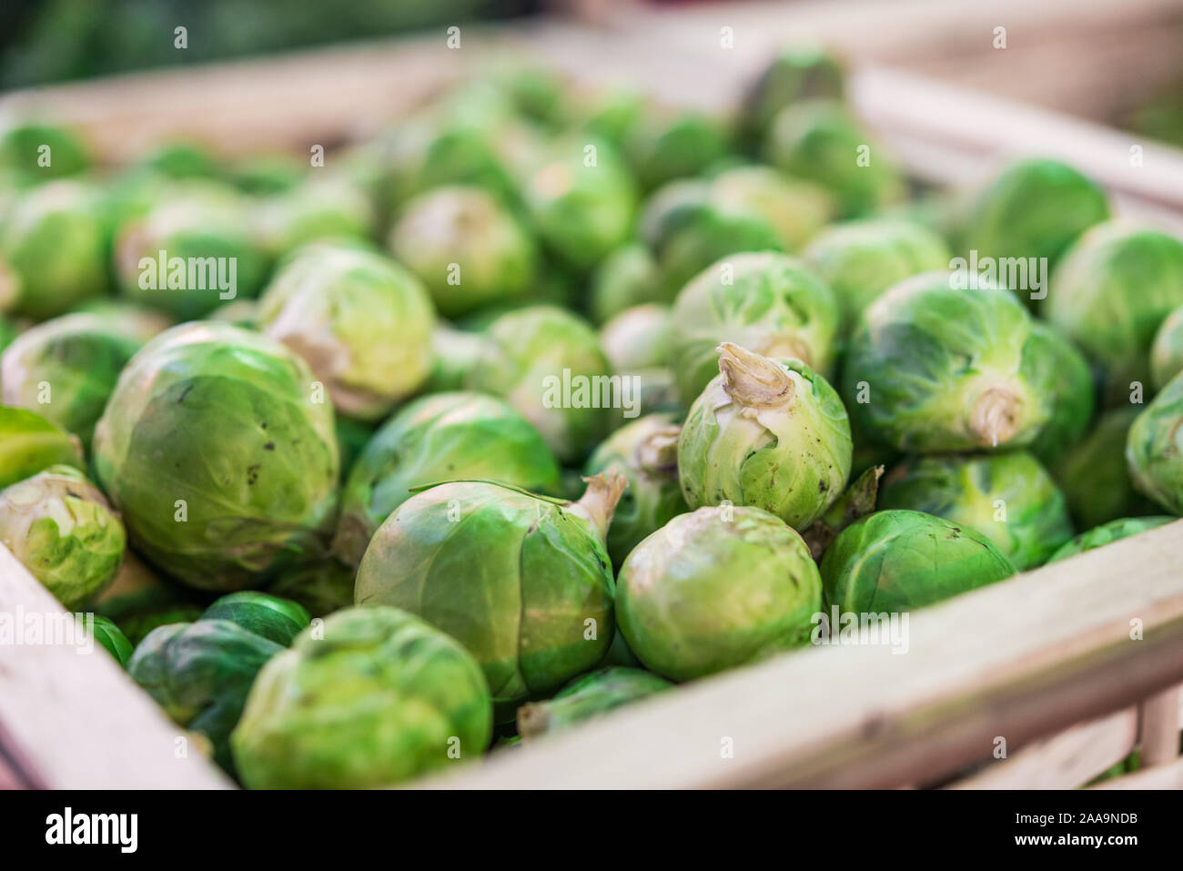 Organic brussel sprouts vegetables at a street food market fair ...