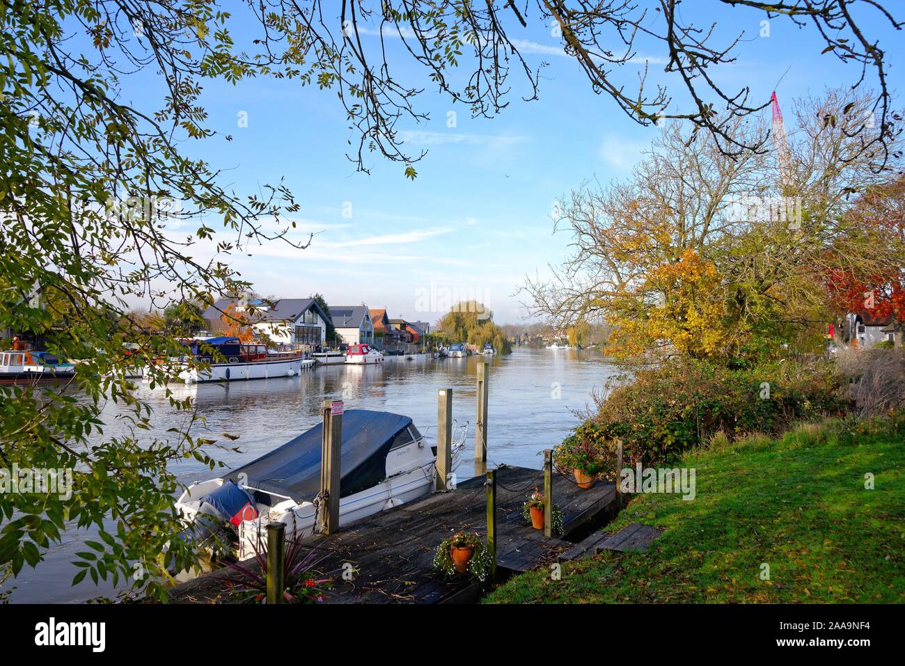 The River Thames at Laleham, Staines on a sunny autumnal day, Surrey ...