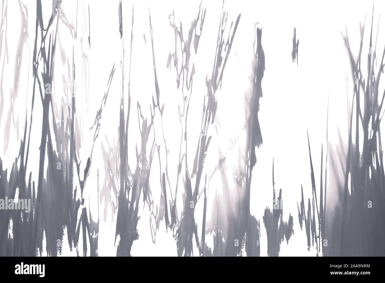 Abstract shadow of grass on white background Stock Photo - Alamy