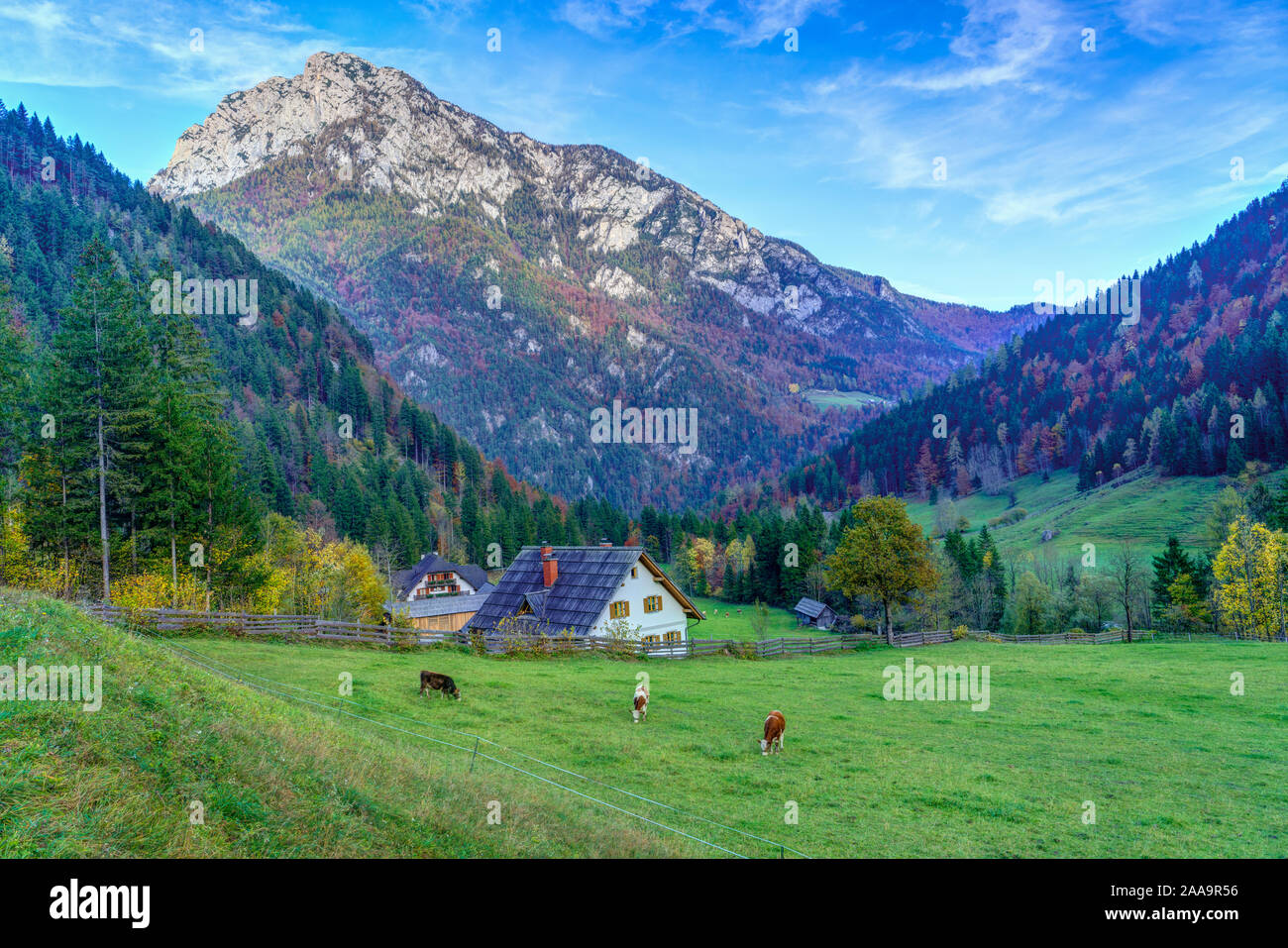 An alpine scene in Rabanov Kot with fall foliage color in the Logar ...