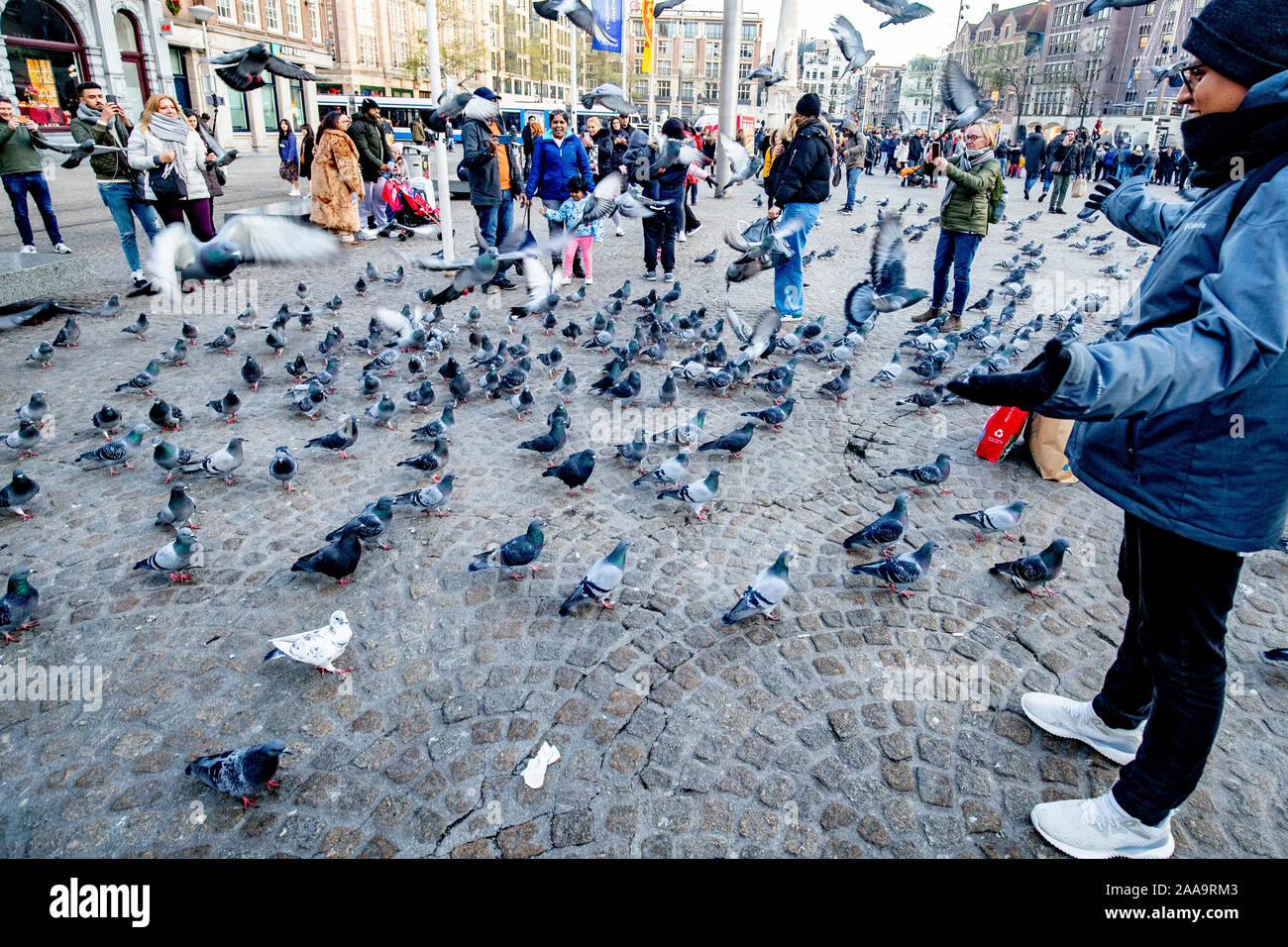 Duiven hi-res stock photography and images - Alamy