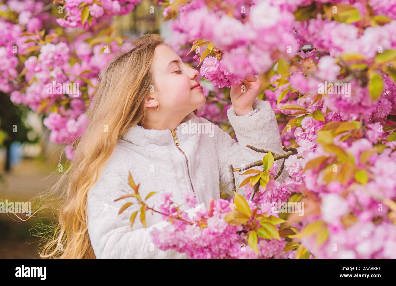 Child enjoy warm spring. Girl enjoying floral aroma. Kid on pink ...
