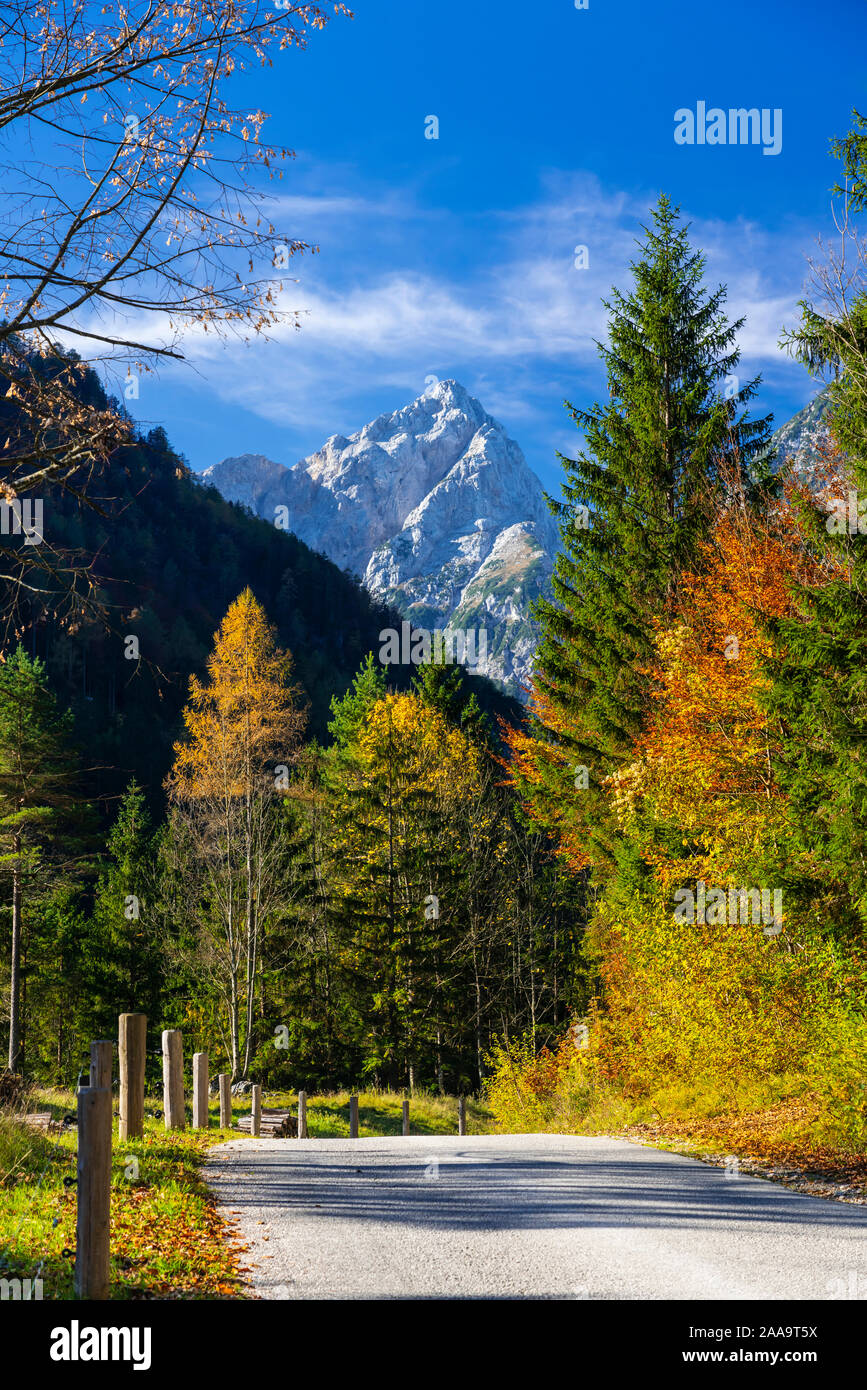 An alpine scene in Rabanov Kot with fall foliage color in the Logar ...
