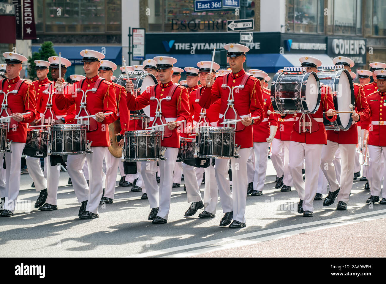 Veterans Day Parade, Fifth Avenue, Manhattan, New York, US Stock Photo ...