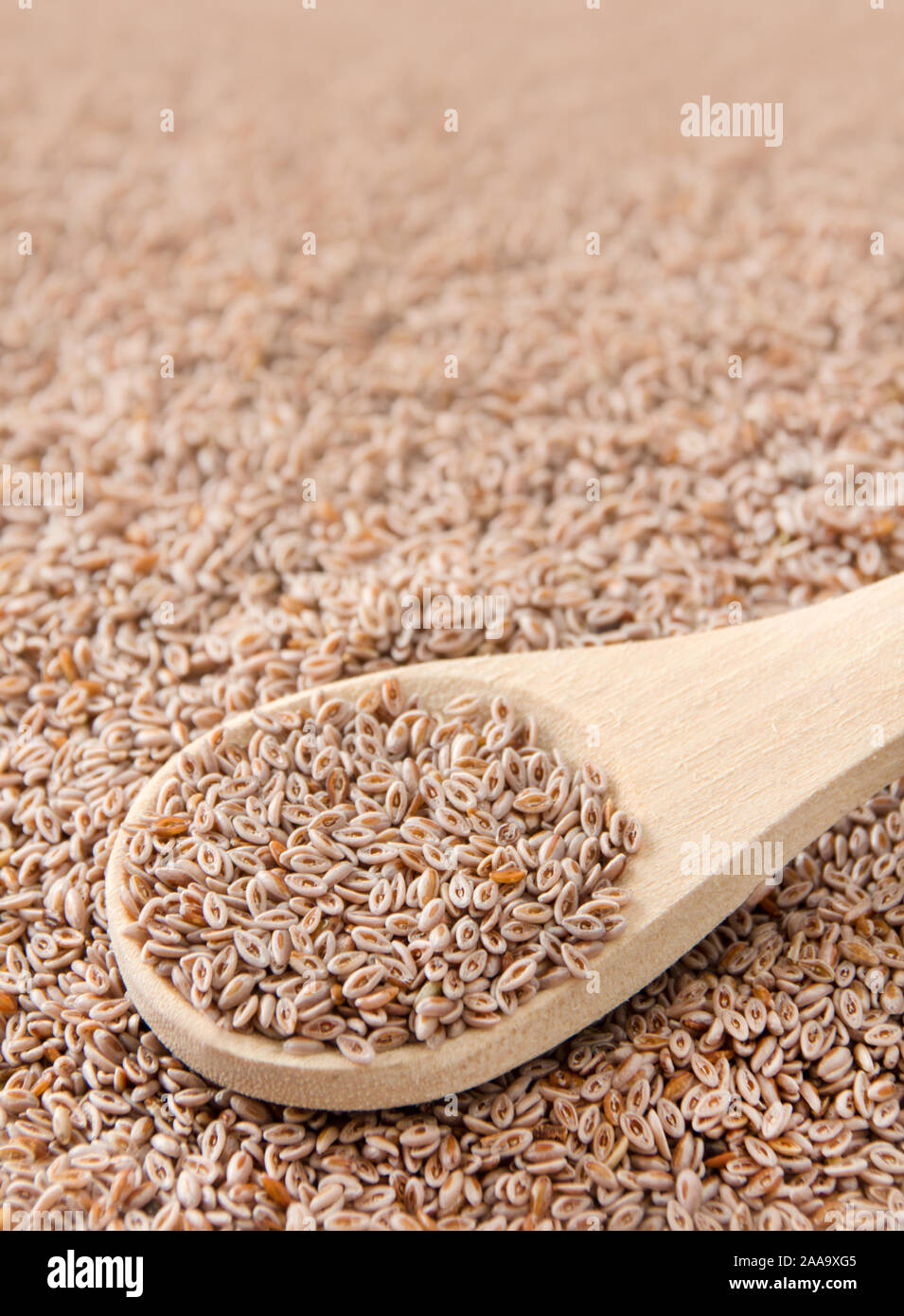 Indianwheat psyllium seeds and spoon Stock Photo - Alamy