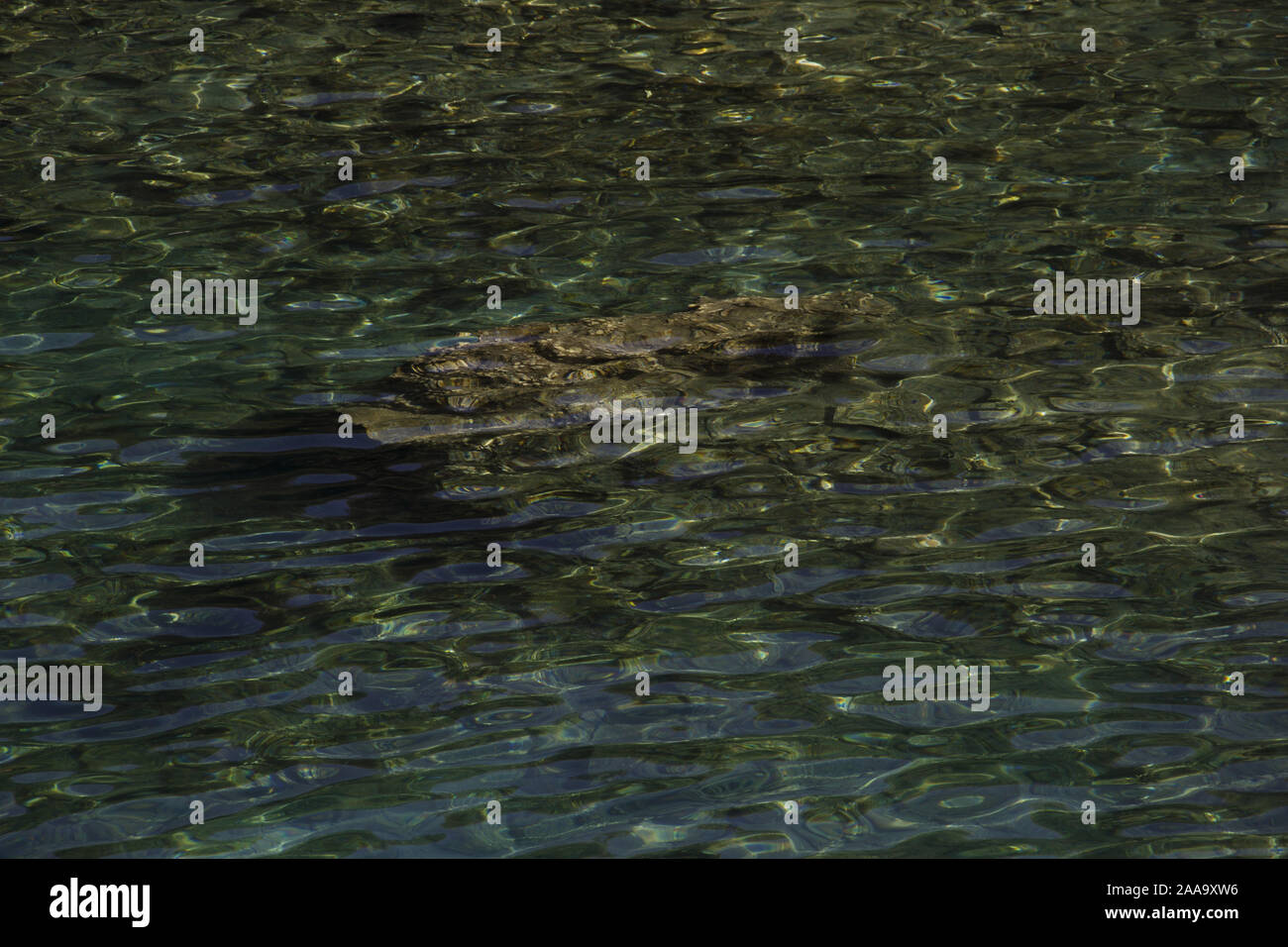 Clear blue sea soft hi-res stock photography and images - Alamy