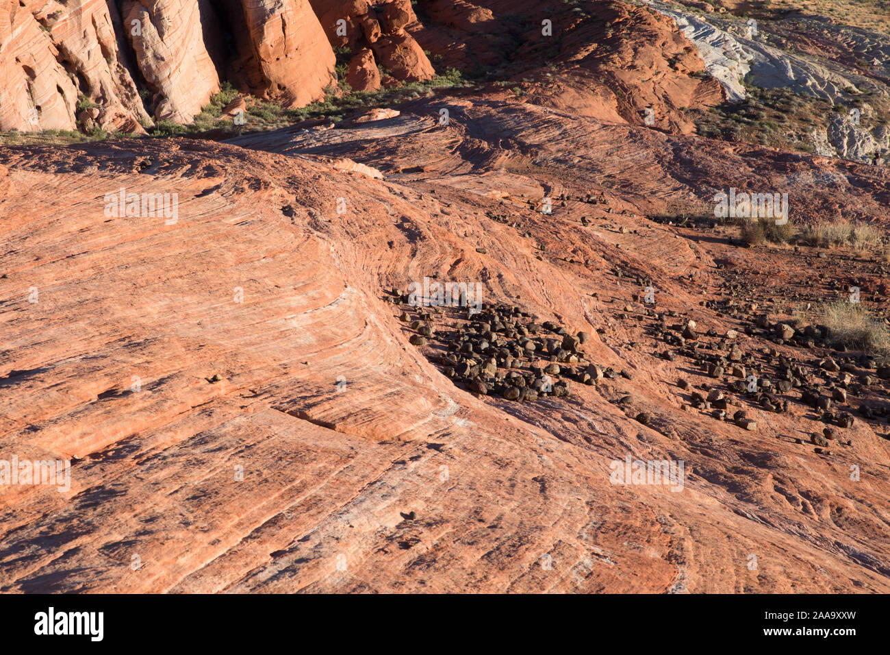 Geologic Rock Formations Valley of Fire State Park Nevada USA Stock ...