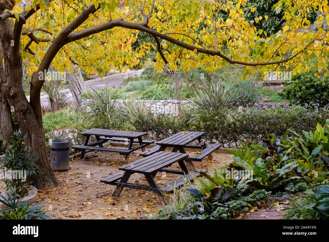 The Gibraltar Botanic Gardens or La Alameda Gardens are a botanical ...