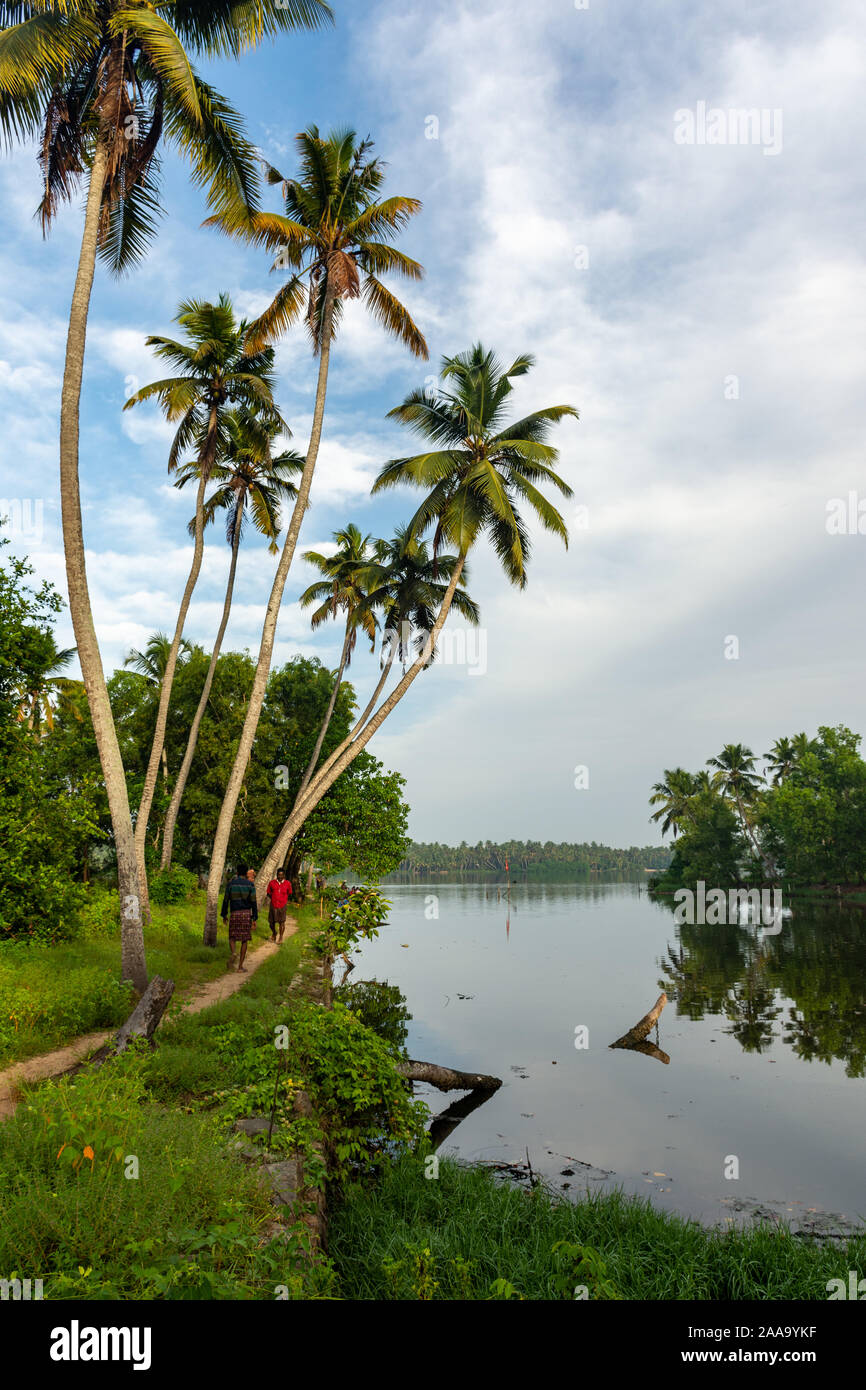 Morning Scenes at Kerala backwaters Stock Photo - Alamy