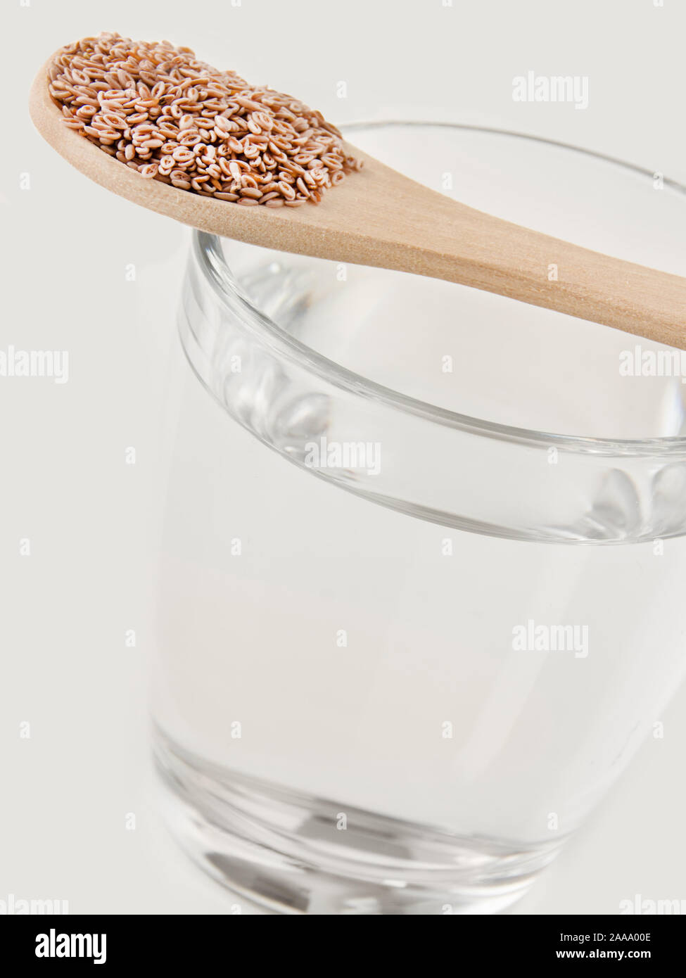 Indian wheat hi-res stock photography and images - Alamy